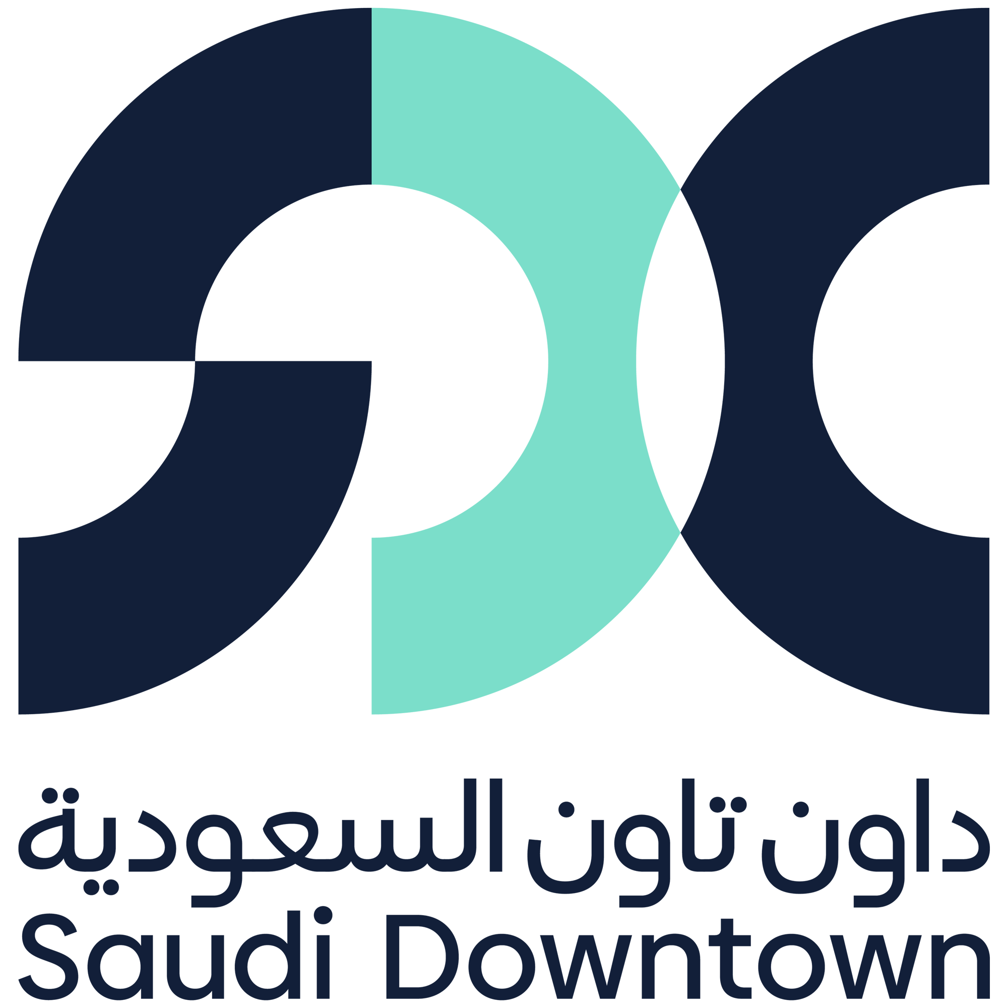PIF | Saudi Downtown Company | Public Investment Fund